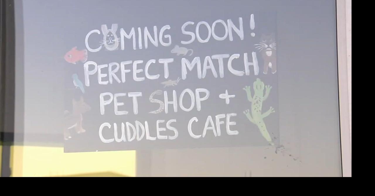 Pet shop and animal rescue leaving Berkshire Mall, reopening in Exeter ...