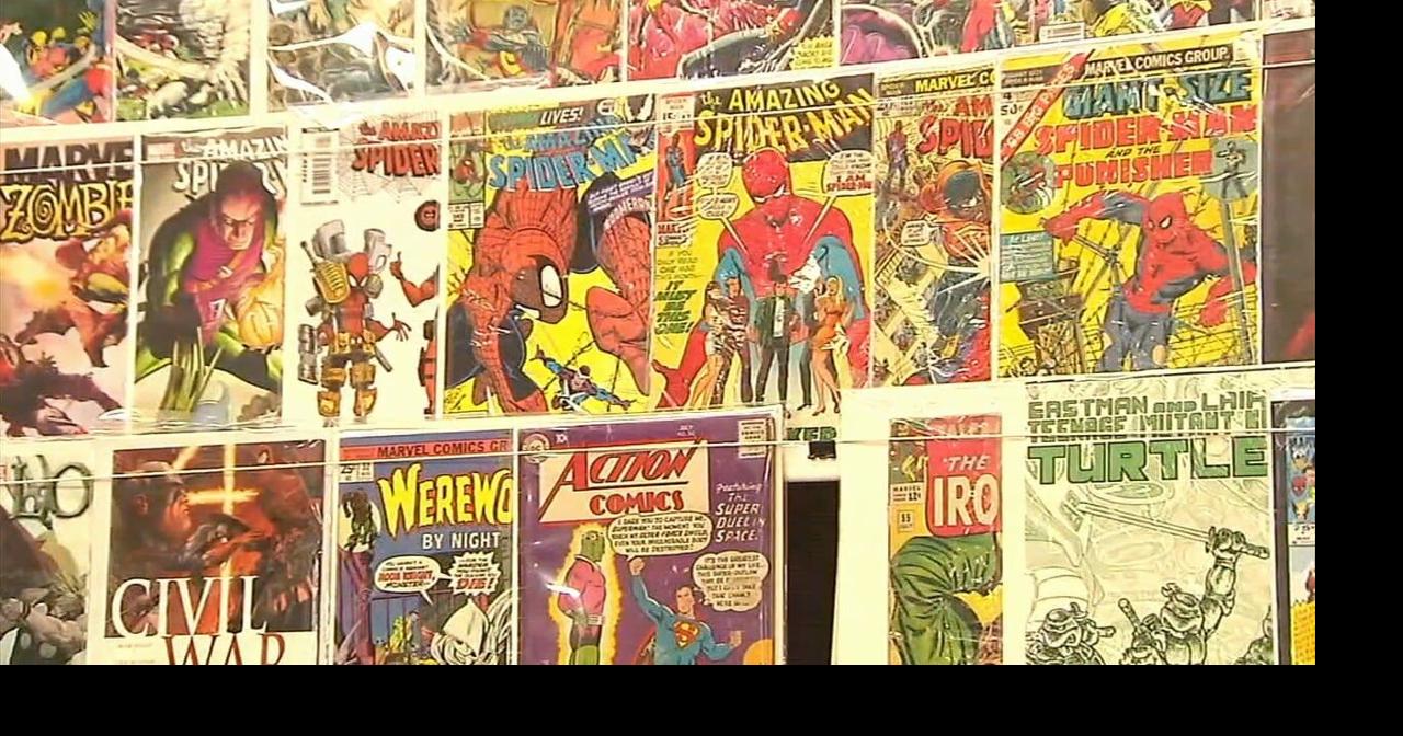 'There's a little something for everyone': Lehigh Valley Comic ...