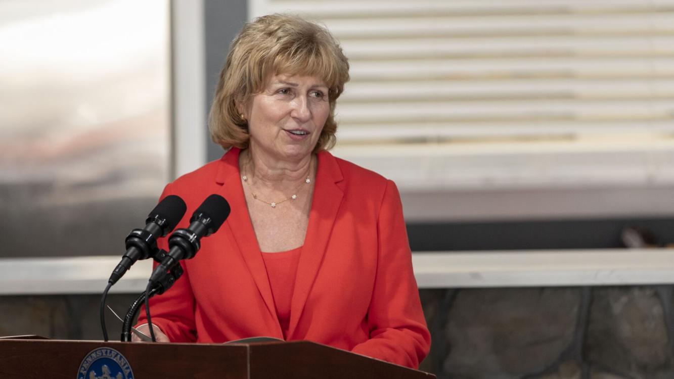 State Sen. Judy Schwank announces reelection bid | Berks Regional News ...