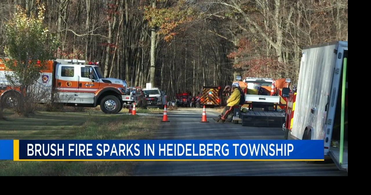 Brush fire contained in Heidelberg Twp. along Blue Mountain | Lehigh ...