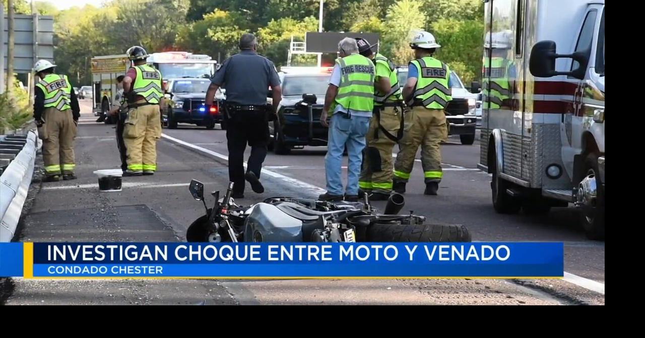 Investigan choque entre motocicleta y un venado | Noticias | wfmz.com