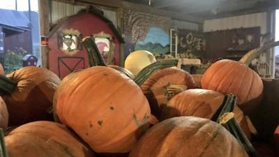 Fall fun in full swing at Savidge Farms in Longswamp | 69News at ...