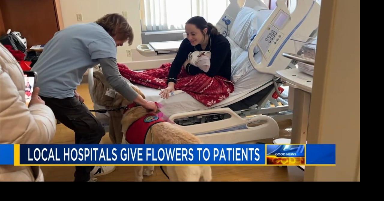 Hospitals give flowers to patients for Valentine's Day | Good News ...