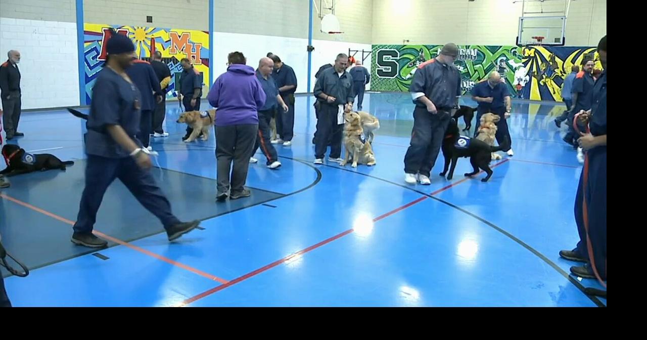 Michigan nonprofit pairs inmates with puppies that need training | Good ...