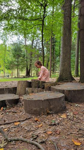 2 from Berks recognized in PPFF ‘Reflections’ photo contest | Berks ...