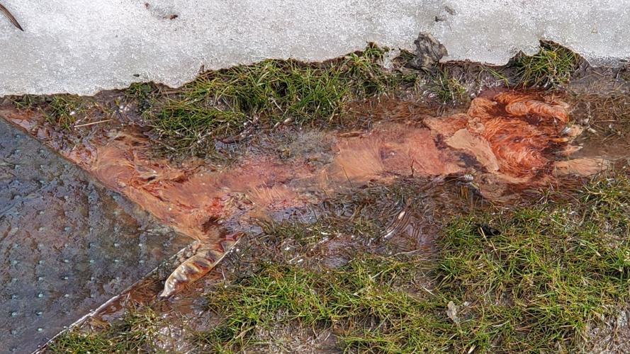 Spill of home heating oil makes mess near Birdsboro | Berks Regional ...