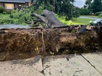 YOUR PHOTOS: Storm damage in our region | Lehigh Valley Regional News ...