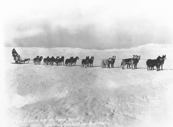 100 years later, mushers and sled dogs still heroes in Nome | News ...