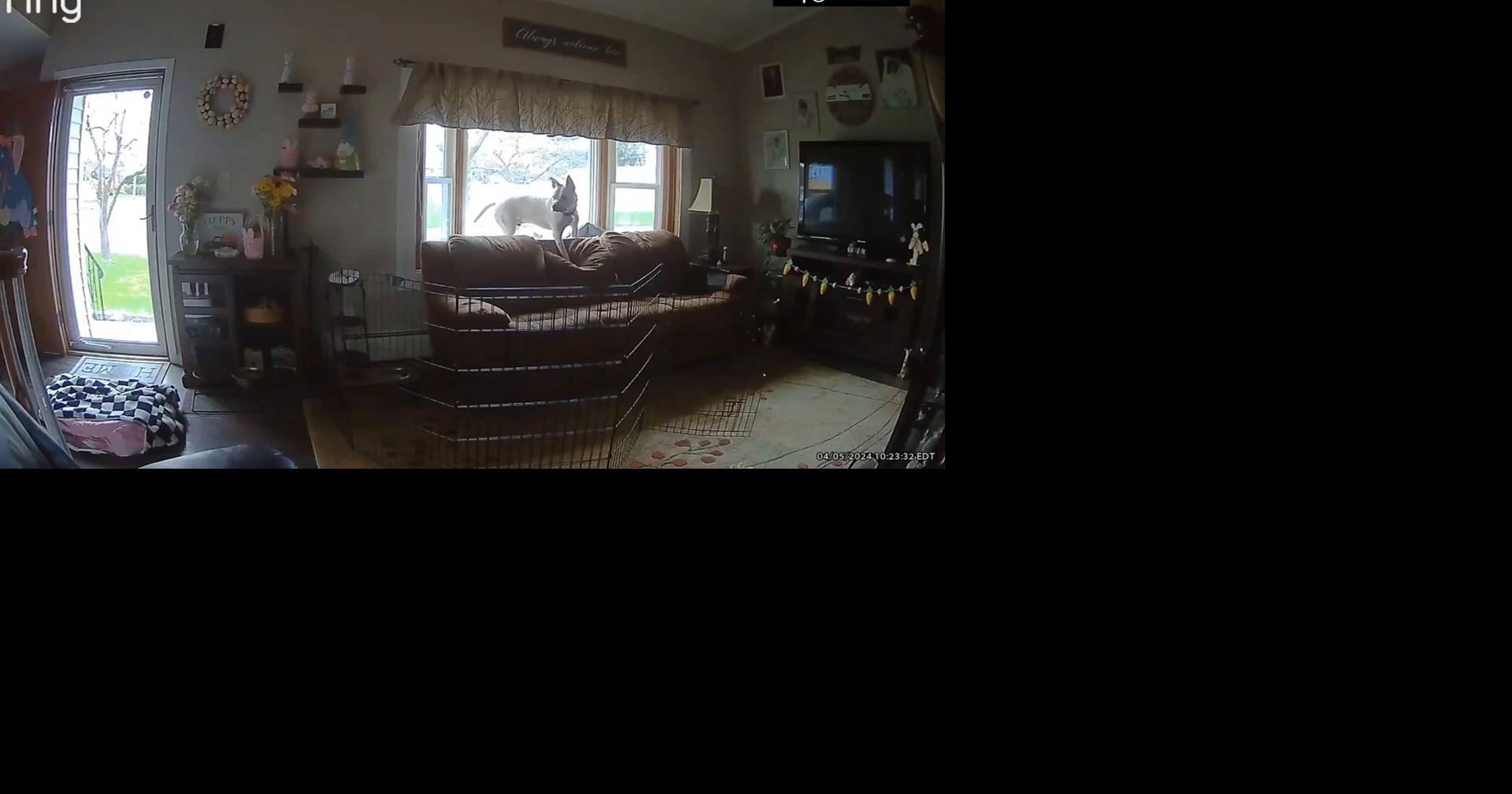 WATCH: Earthquake shakes home near New Jersey epicenter | New Jersey ...