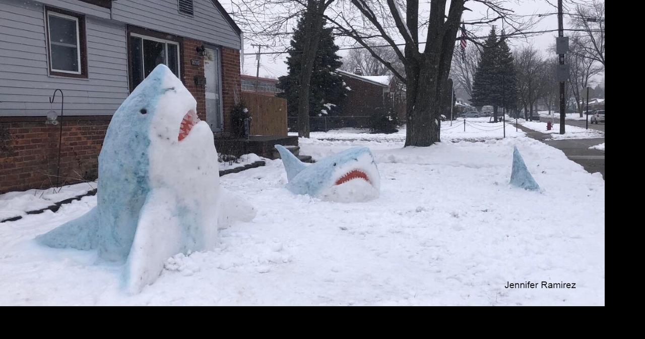 Detroit area art teacher makes snow sharks | Good News | wfmz.com