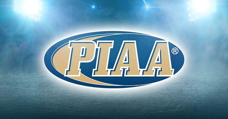 Berks golfers represented well in the PIAA individual golf tournament ...