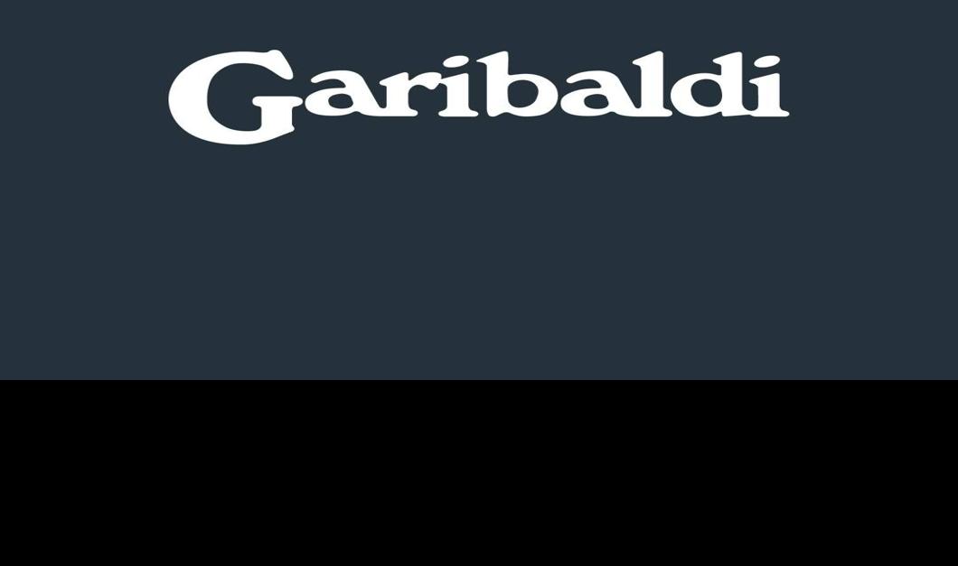 Garibaldi Group of New Jersey acquires real estate firm NAI Summit ...