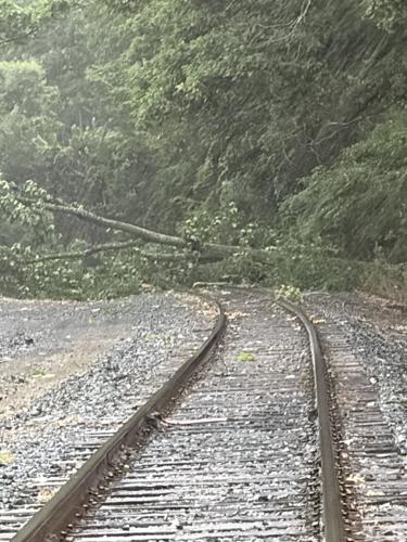 Tree on tracks | | wfmz.com