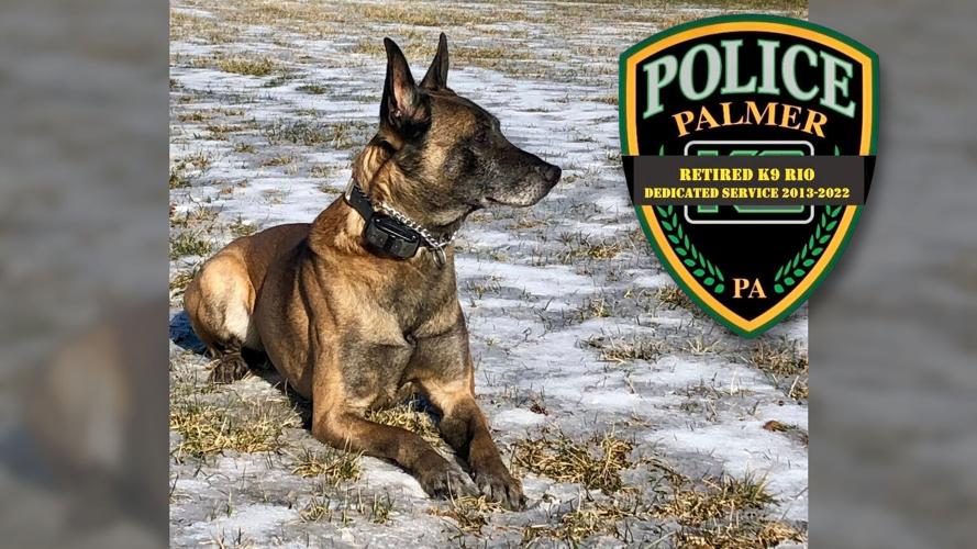 Palmer Township Police announce passing of retired K9 Rio | Easton Area ...