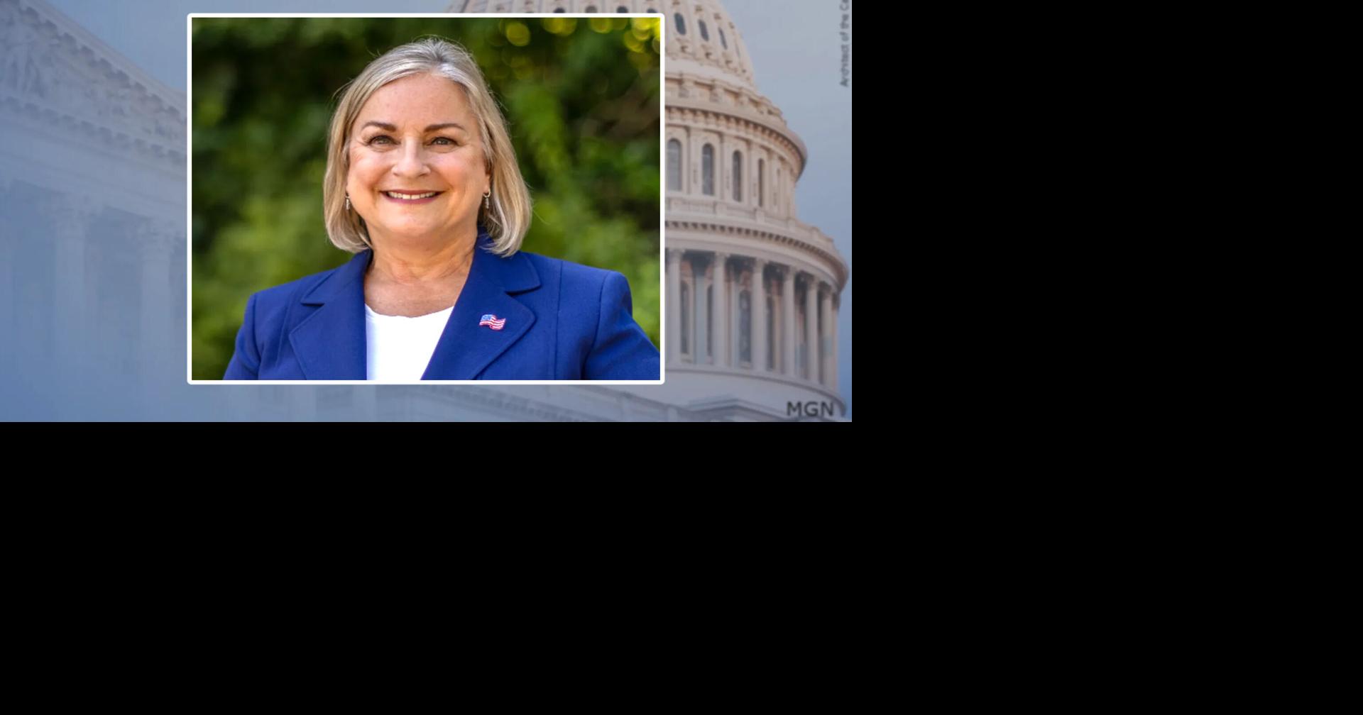 Democrat Susan Wild wins reelection in Pa.'s 7th Congressional District ...