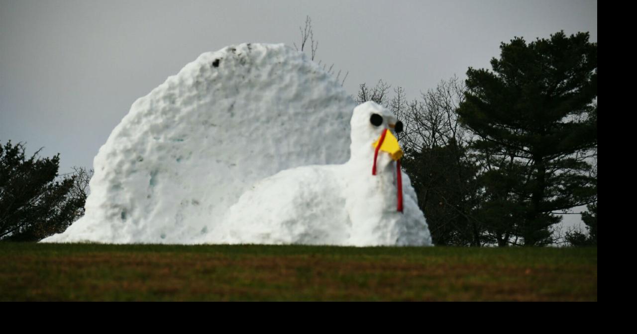 Family creates snow turkey for Thanksgiving | News | wfmz.com