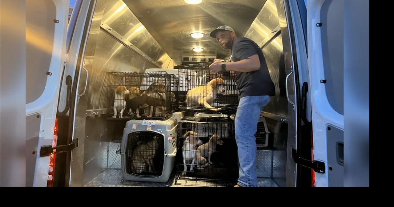 PSPCA rescues more than 200 dogs and other animals from Monroe County ...