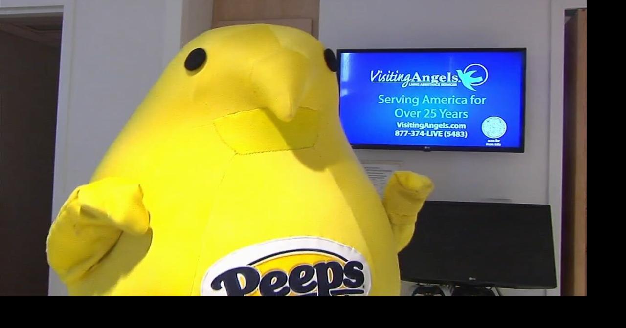 'Did a few dance moves': Peeps mascot surprises patients at Lehigh ...