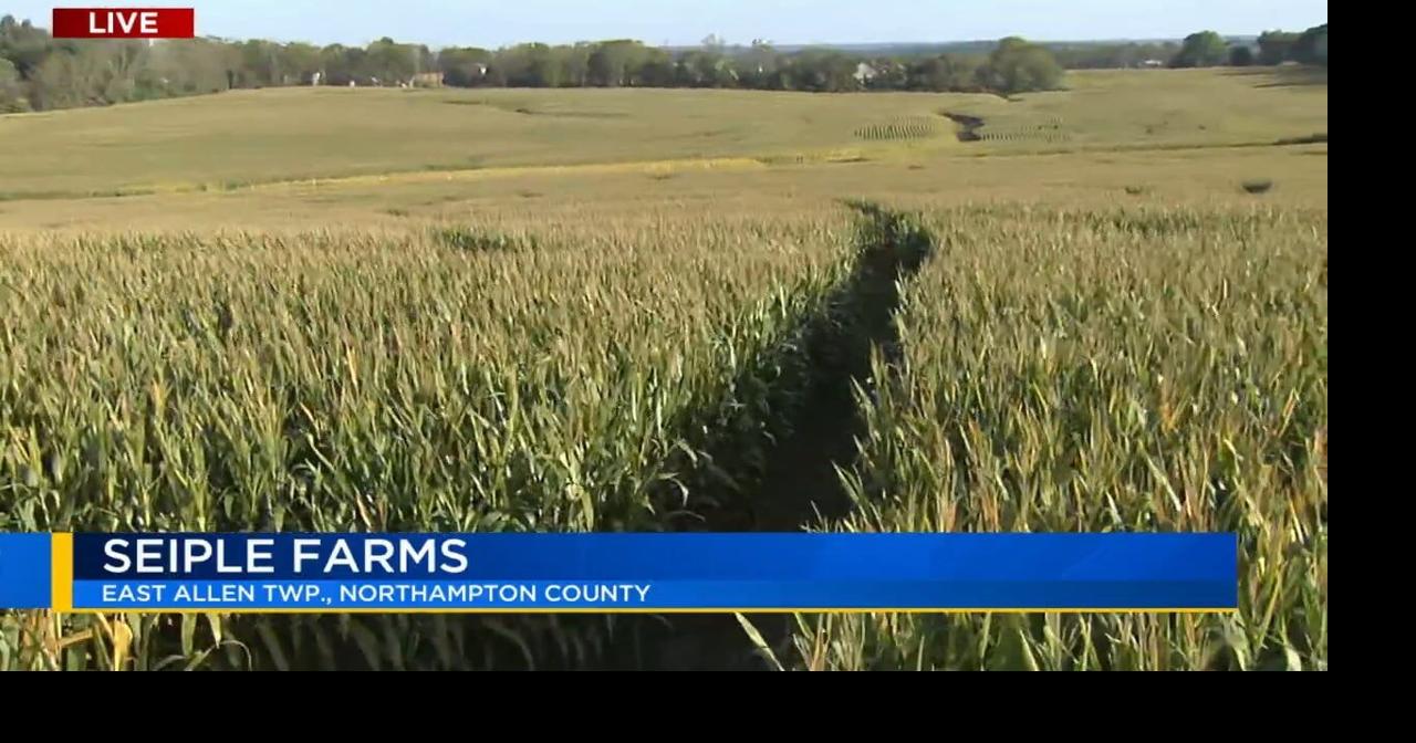Northampton County farm readies its pumpkin patch, 20-acre corn maze ...