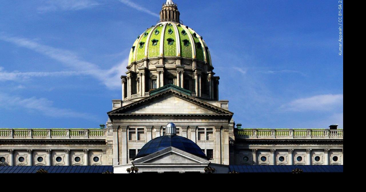 'Too many members': Bipartisan effort aims to trim down Pennsylvania's ...