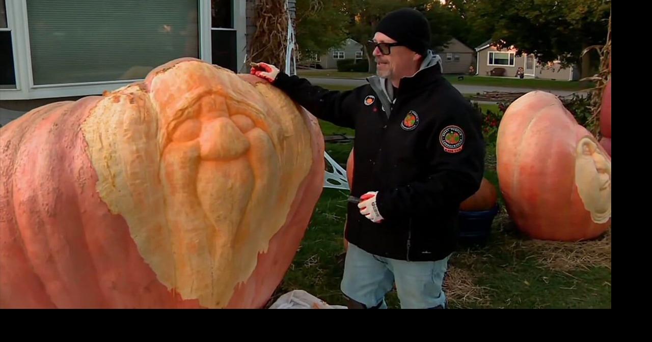 Pumpkin Joe: Man grows giant pumpkins, displays them in his front yard ...