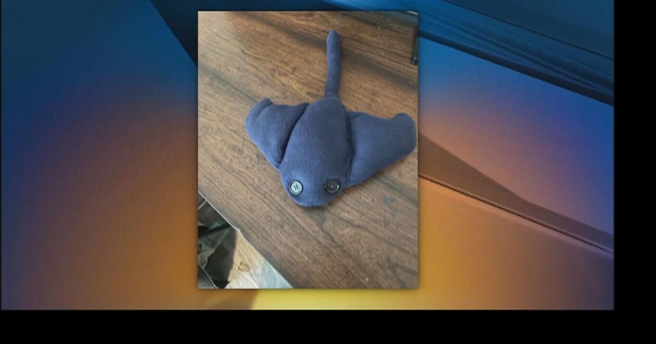 Homemade manta ray sparks acts of kindness | Good News | wfmz.com