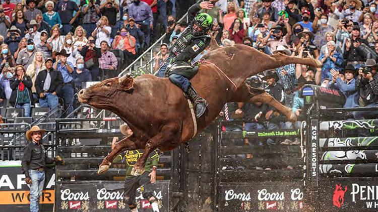 Professional bull riders to return to Reading in 2023 | Berks Regional News | wfmz.com