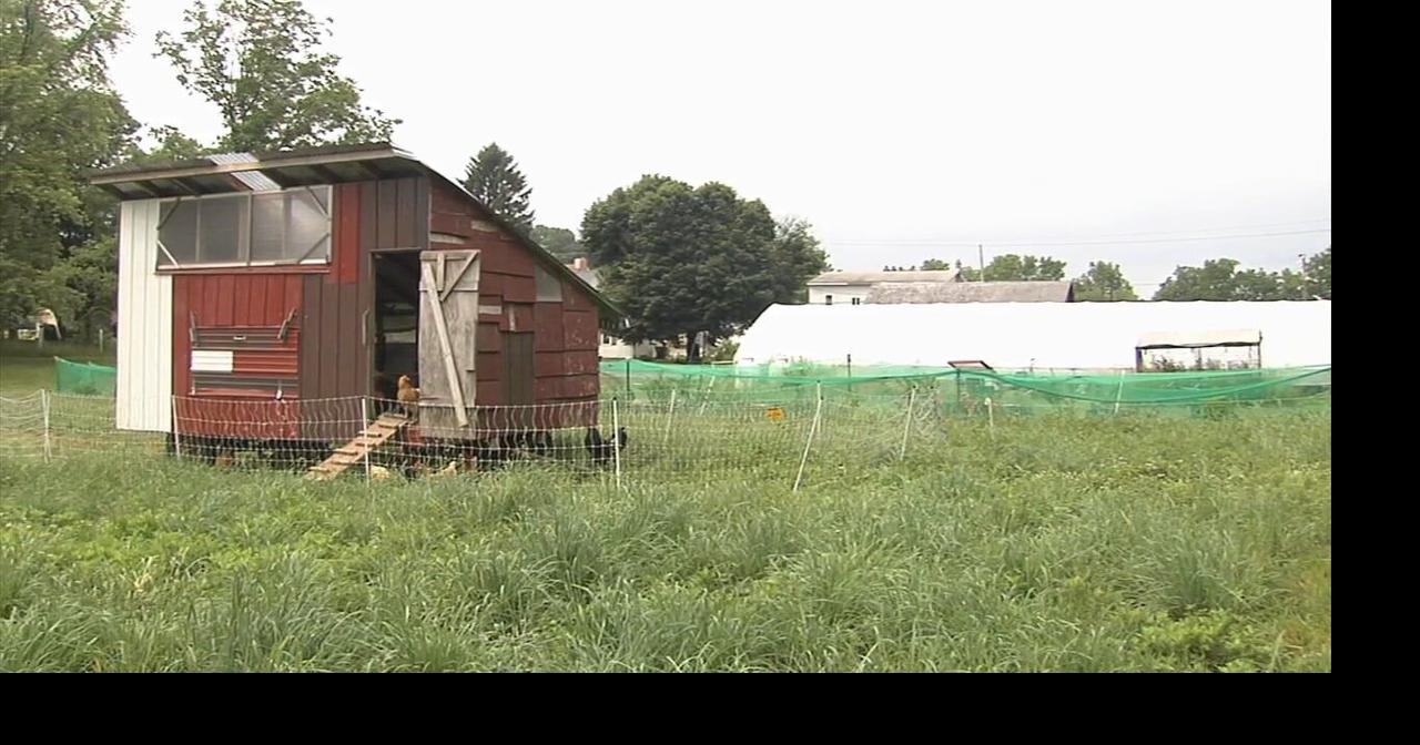 250th farm preserved in Northampton County amid development boom ...