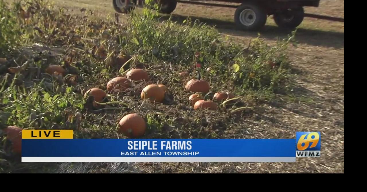 Fall season in full swing at Seiple Farms | 69News at Sunrise | wfmz.com