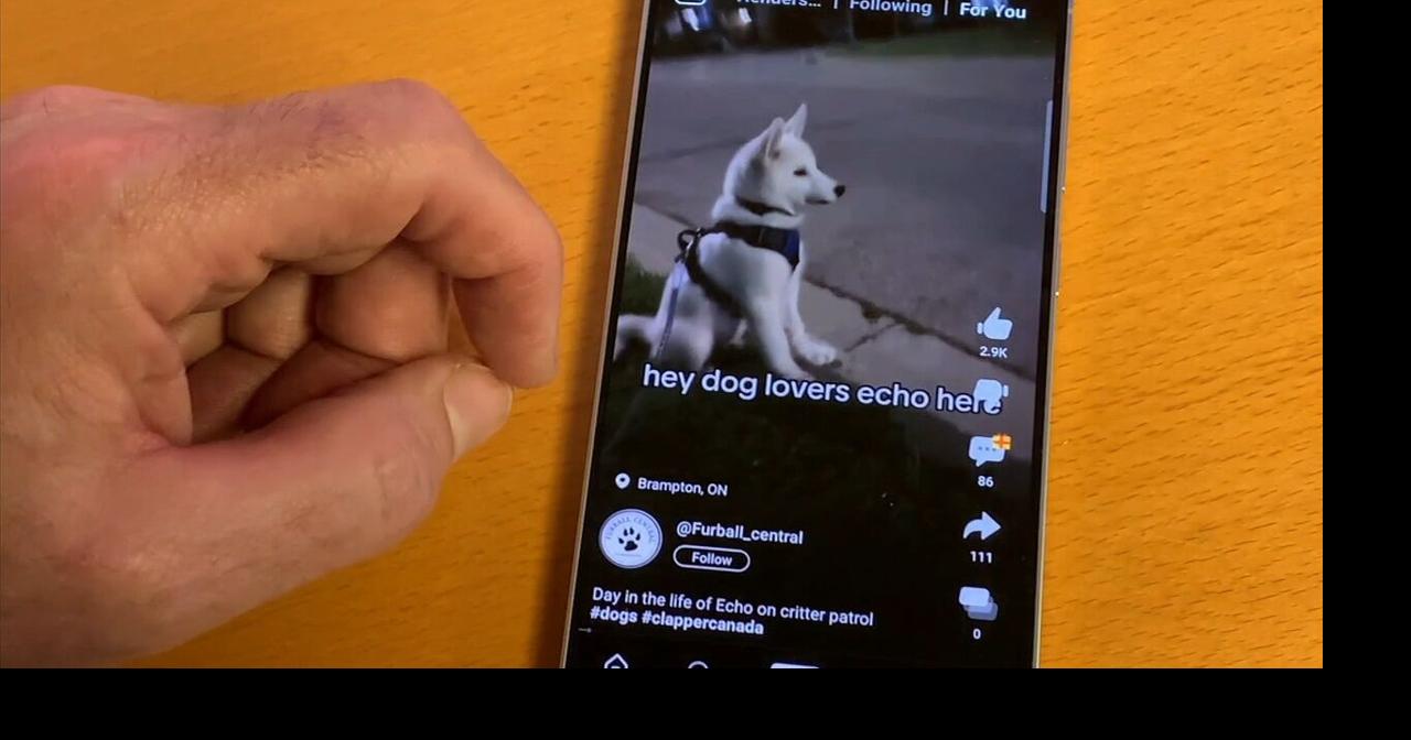 What the Tech? App of the Day: Clapper | What The Tech? | wfmz.com