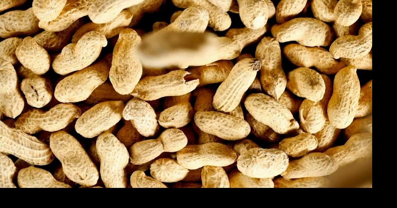 Health Beat: Turning food allergies into non-events | Health Beat ...