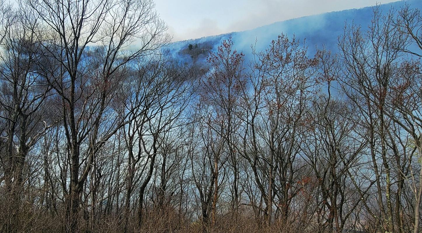 'Spread up the mountain': Multiple fire departments called in to battle ...