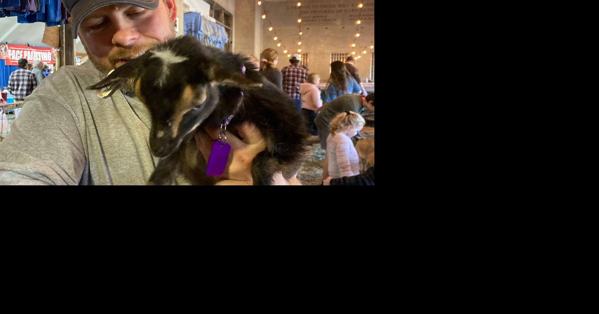 No more goat snuggles: Local family farmers pull out of events due to ...