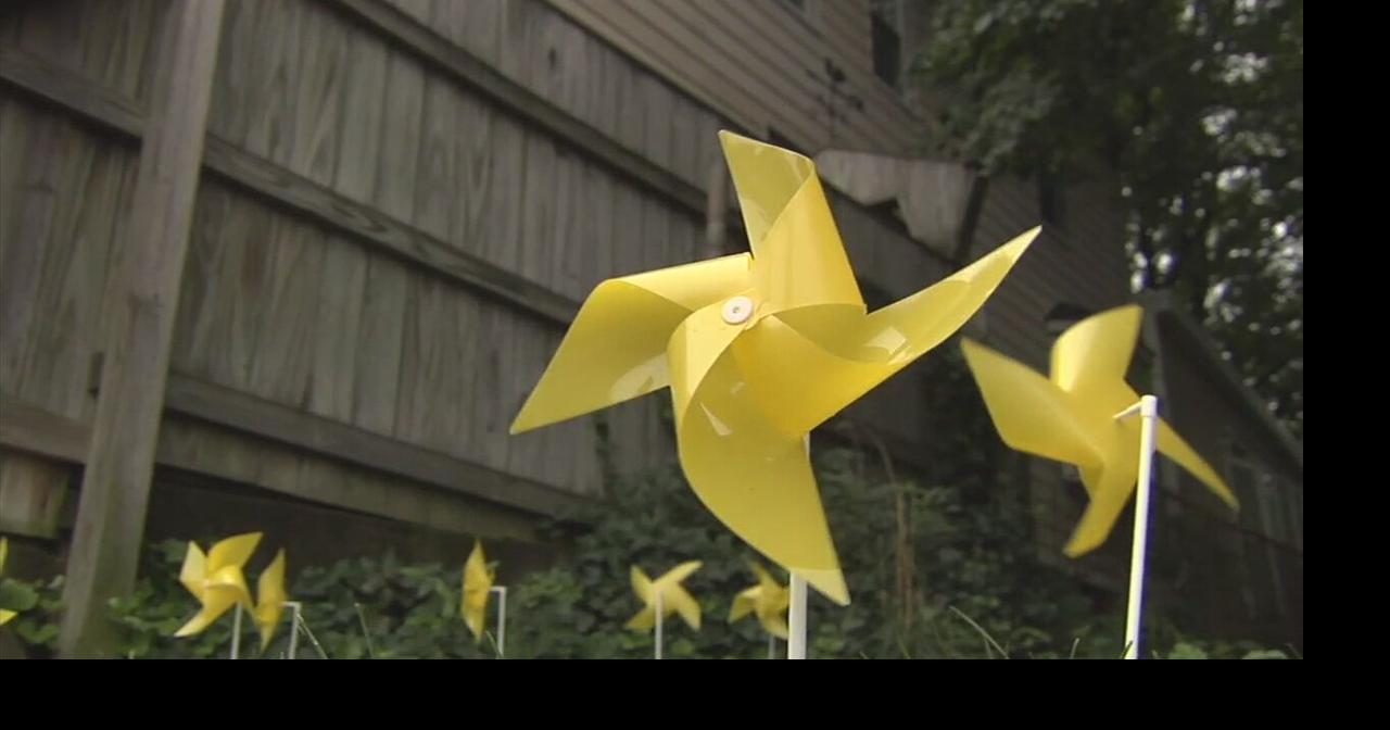 'Pinwheels in the parks' kicks off Easton's parks project | Lehigh ...