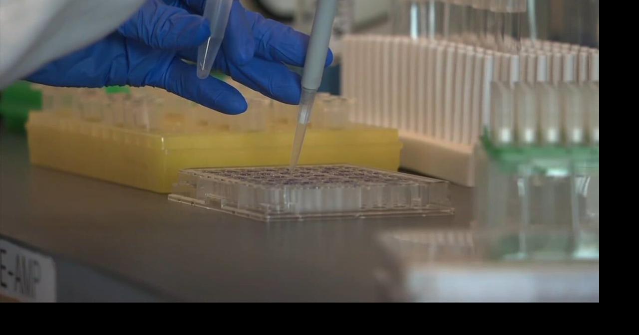 DNA expert testifies in 1989 cold case murder trial in Whitehall Twp ...