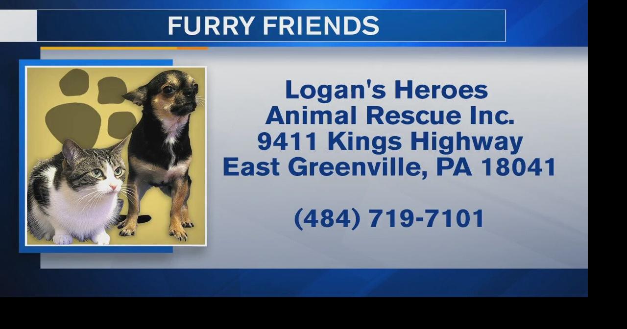 Furry Friends: Finley and Juliet | Video | wfmz.com