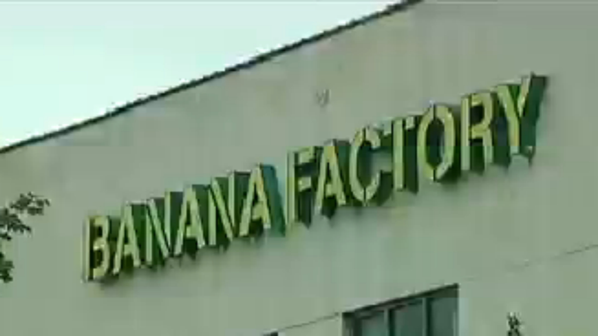 ArtsQuest, BAPL launch digital archive preserving Banana Factory ...