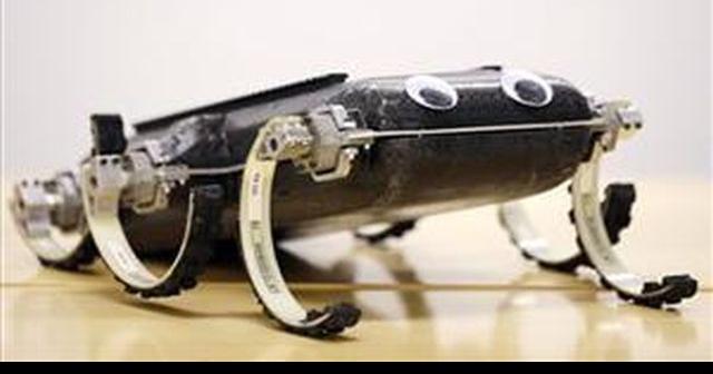 Penn researchers strive for a more athletic robot | News | wfmz.com