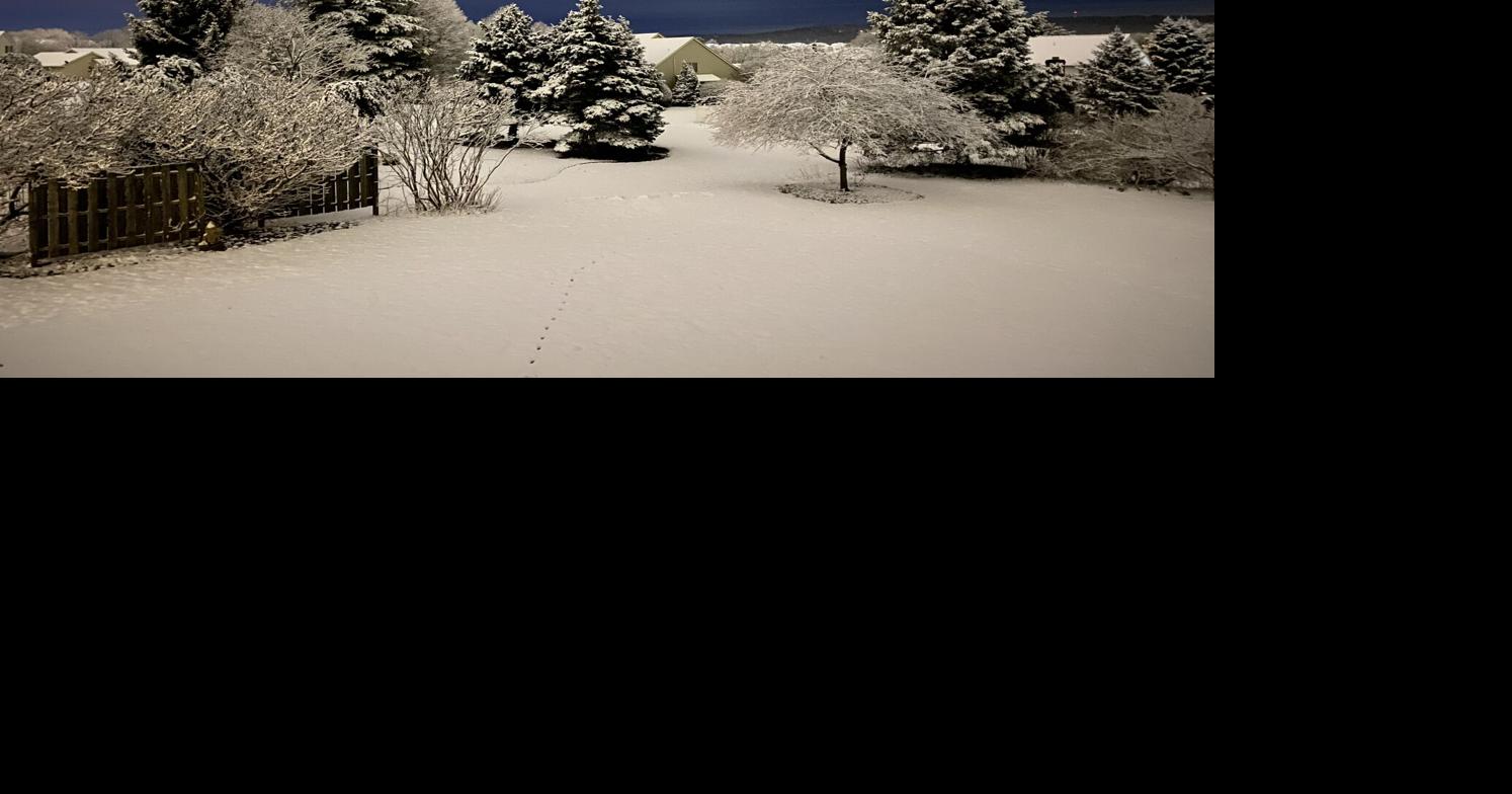 YOUR PHOTOS: Overnight storm brings light snow | Weather | wfmz.com