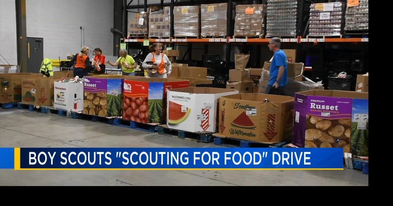 Boy Scouts in Berks host food drive with Helping Harvest and Hawk ...