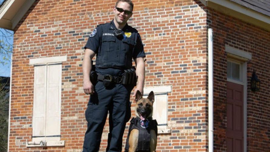 West Reading police K9 outfitted with new ballistic vest | Berks ...