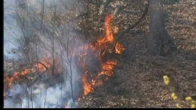 Crews battle brush fire in Schuylkill County | News | wfmz.com