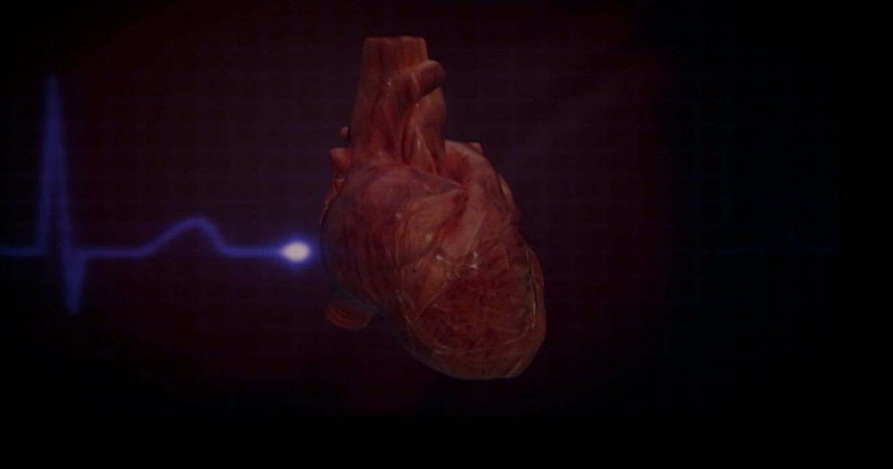 Health Beat: New device first to help right side of the heart | Health ...
