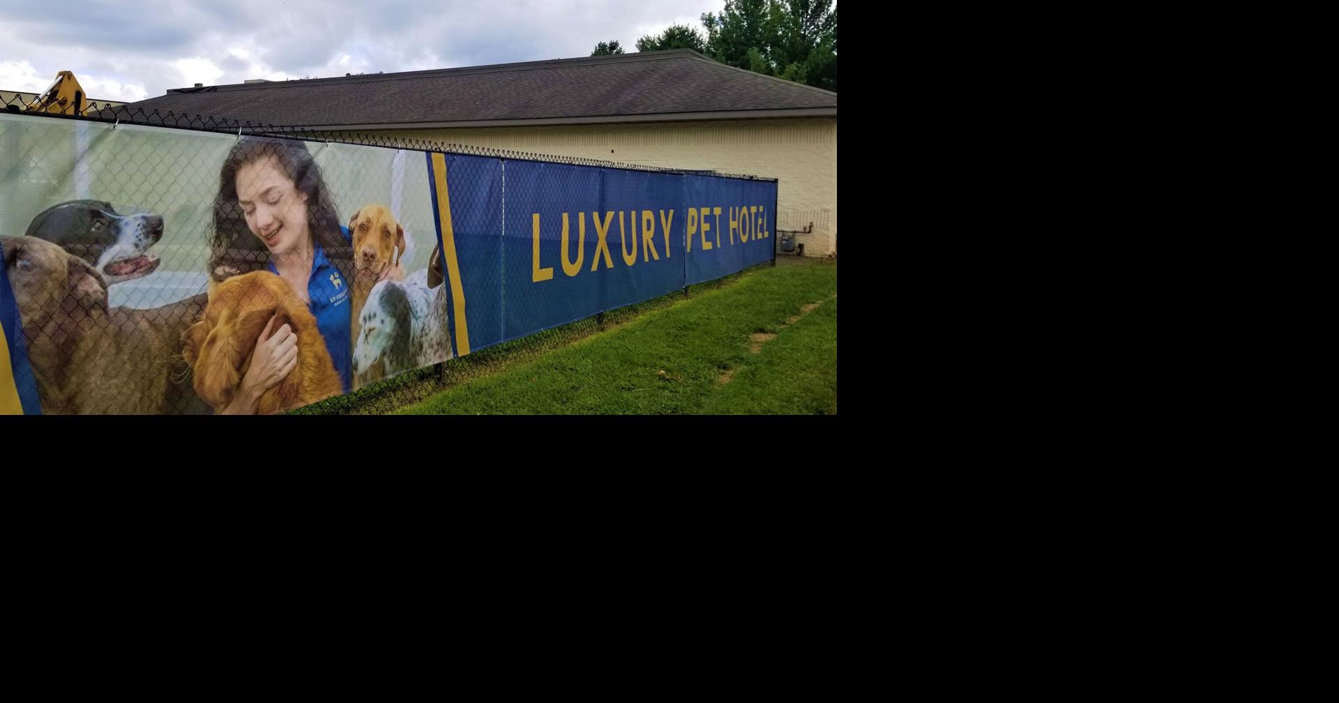 ‘Luxury pet hotel,’ offering dog boarding and daycare, to open in ...