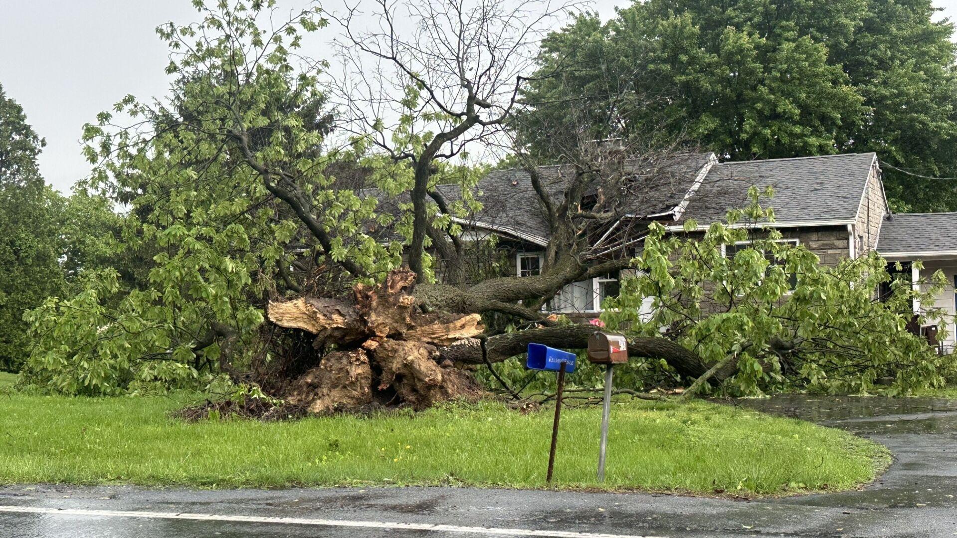 Tree falls on home during rain storm in Exeter Twp., woman and child ...