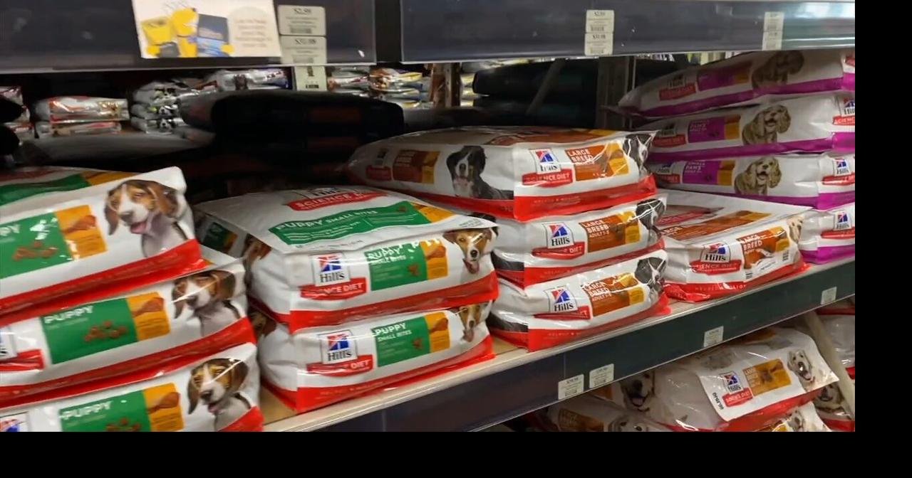 Food for Fido: Healthy choices for a long life | Life-lessons | wfmz.com