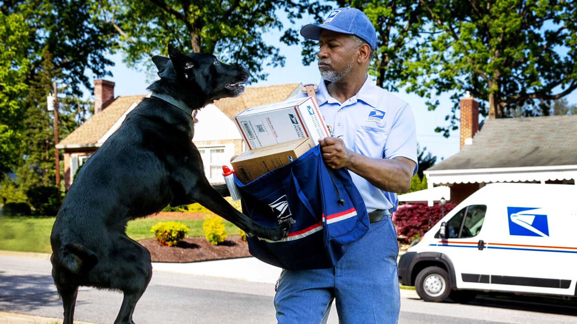 USPS launches national campaign for Dog Bite Awareness Month | Berks ...