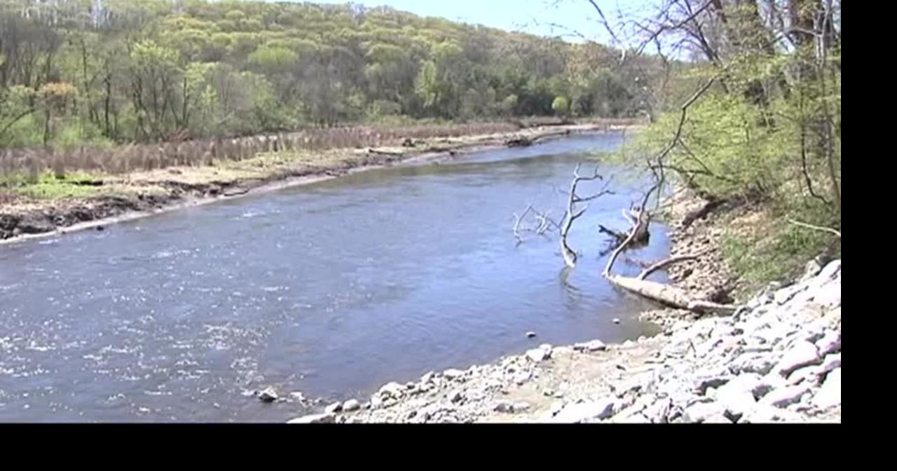 Shad returning to Delaware River tributary weeks after Columbia Dam ...