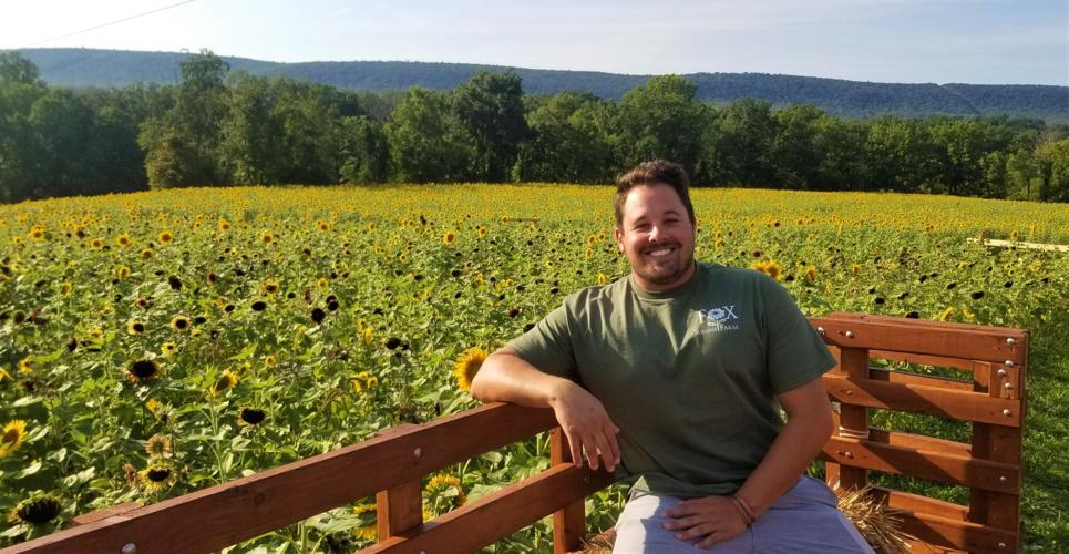 Lehigh Valley's new pick-your-own sunflower farm serves up first-rate views, photo ops | Eat ...