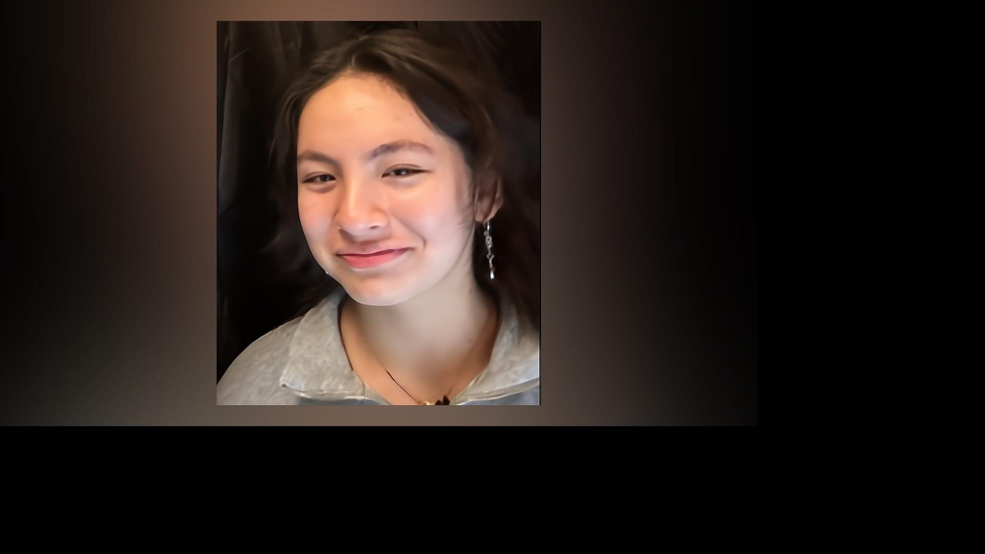 Palmer Twp. police chief provides update on missing 14-year-old girl at board of supervisors ...